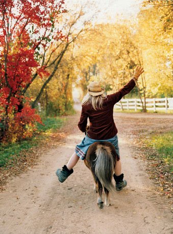 The Next Day is Someday: Longing for fall...