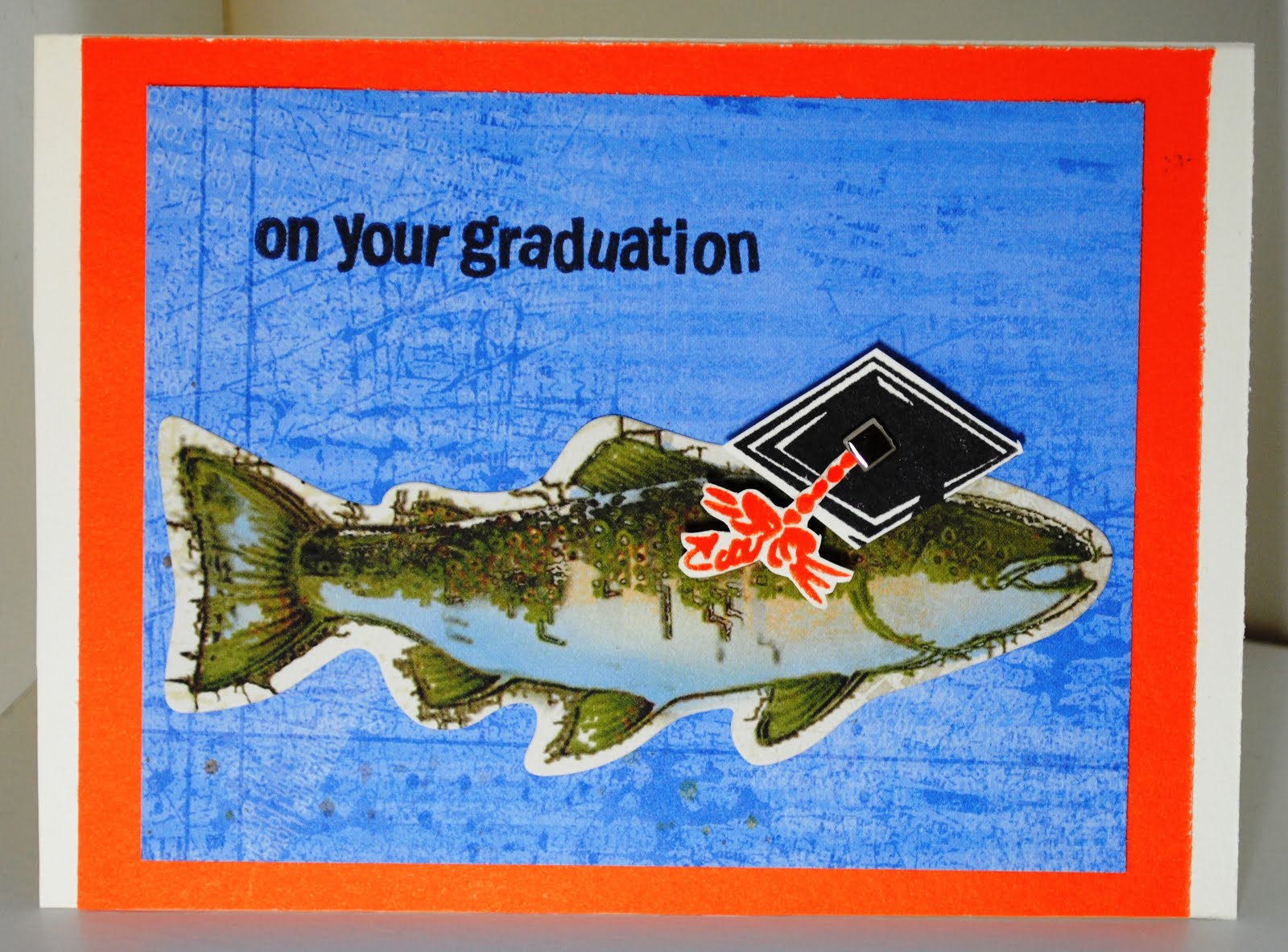 Good Golly, Ms. Molly!: Orange and Black Graduation Cards