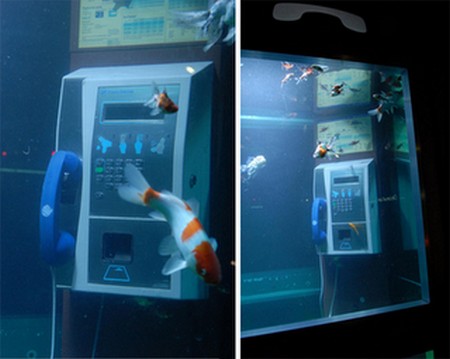 the fact: The 5 Strange Aquarium Tanks