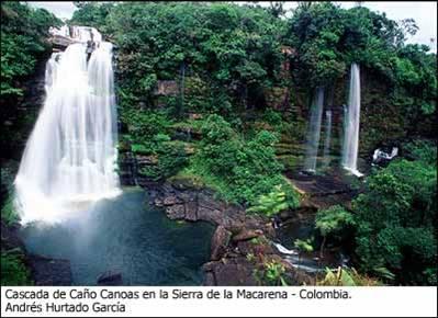 yefer Alexander Vieda