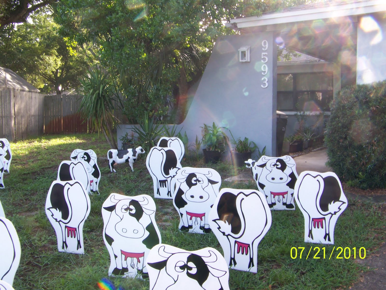 *FLOCK-N-SURPRISE* 727-687-8111 LARGO, Florida www.flocknsurprise.com ...