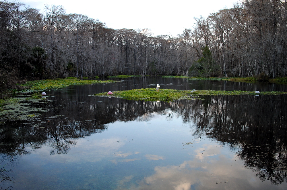 NANCY and BILL: FLORIDA TRIP - One Long Ride!! – Silver River State ...