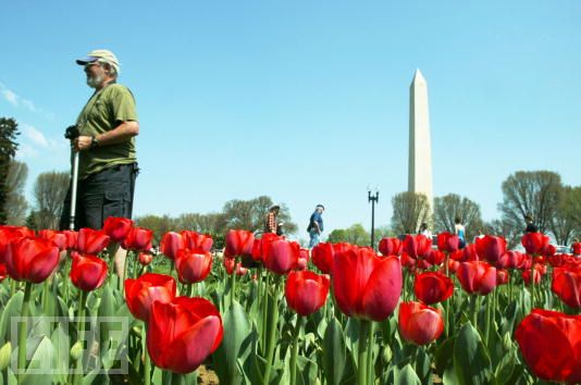 NewfoundJoye: Thursday Traffic | 8 July