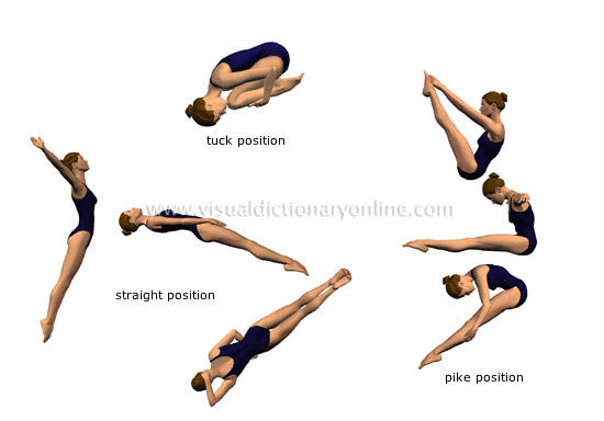 Live to Dive: How to: dive positions