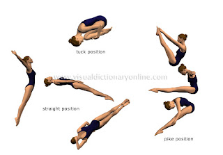Live to Dive: How to: dive positions
