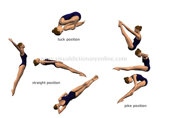 Live to Dive: How to: dive positions