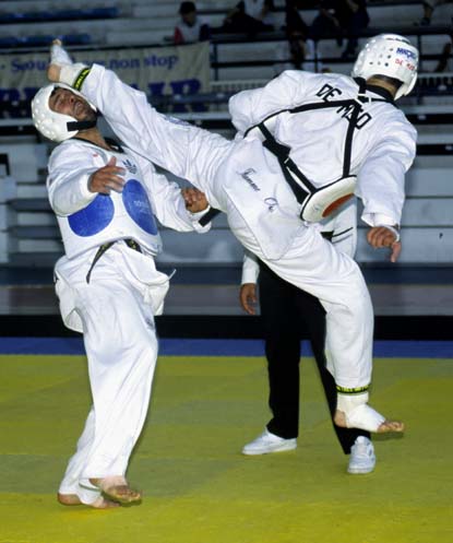 Vale Tudo Arena: Taekwondo