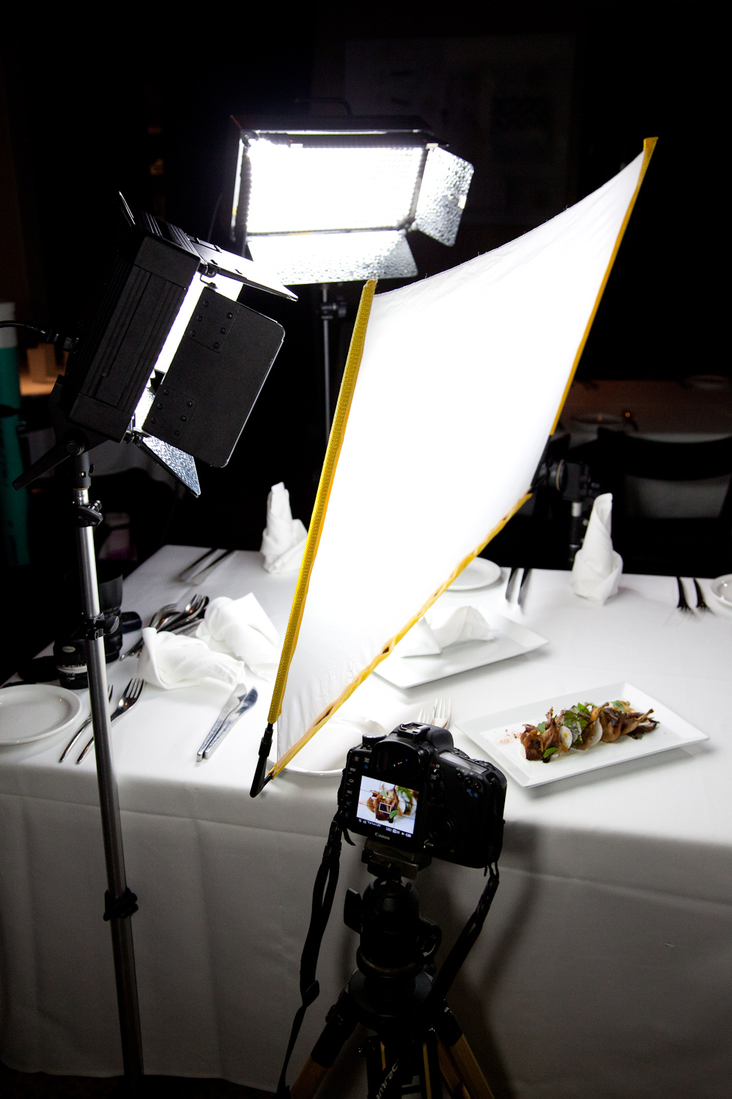 The Visual Science Lab / Kirk Tuck: Feb 4, 2011