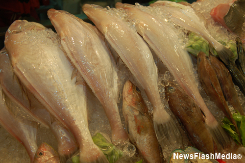 NewsFlashMedia: Chicken Fish What?
