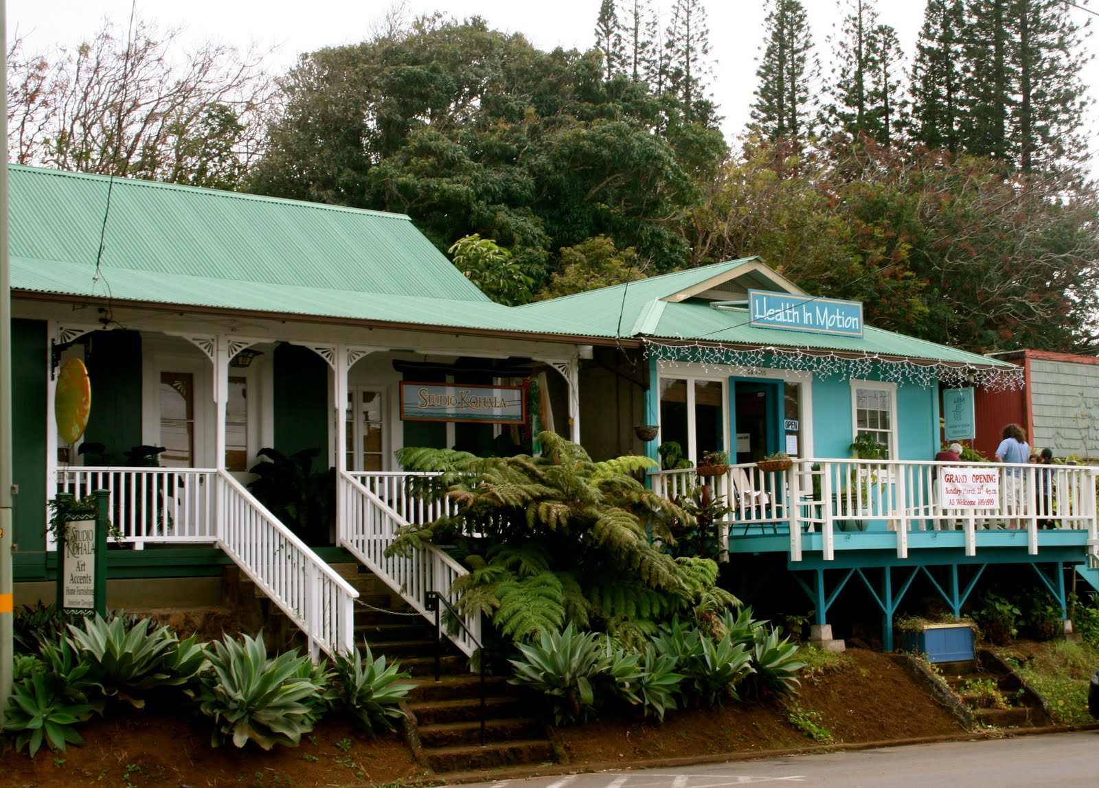 Hawi, Hawaii - A Bohemian's Guide to the Wild Woods