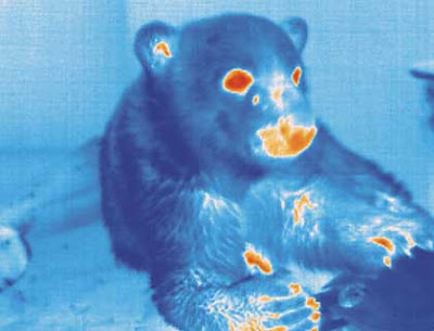 4professionals: July 2007