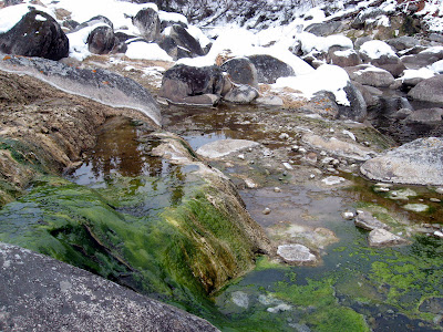 The Edventures: In search of Big Windy Hot Springs