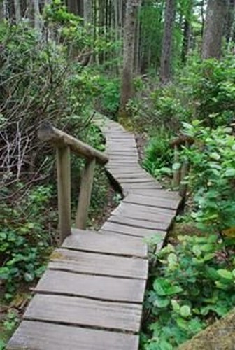 Durango Washington: Cape Flattery, Tatoosh Island, Fuca Pillar and the ...