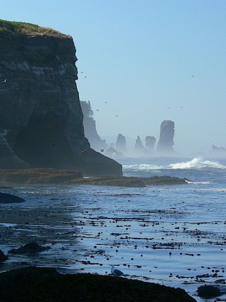 Durango Washington: Cape Flattery, Tatoosh Island, Fuca Pillar and the ...