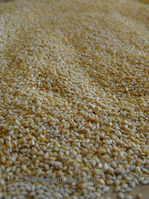 Bianca prin bucatarie: Tahini - pasta de susan
