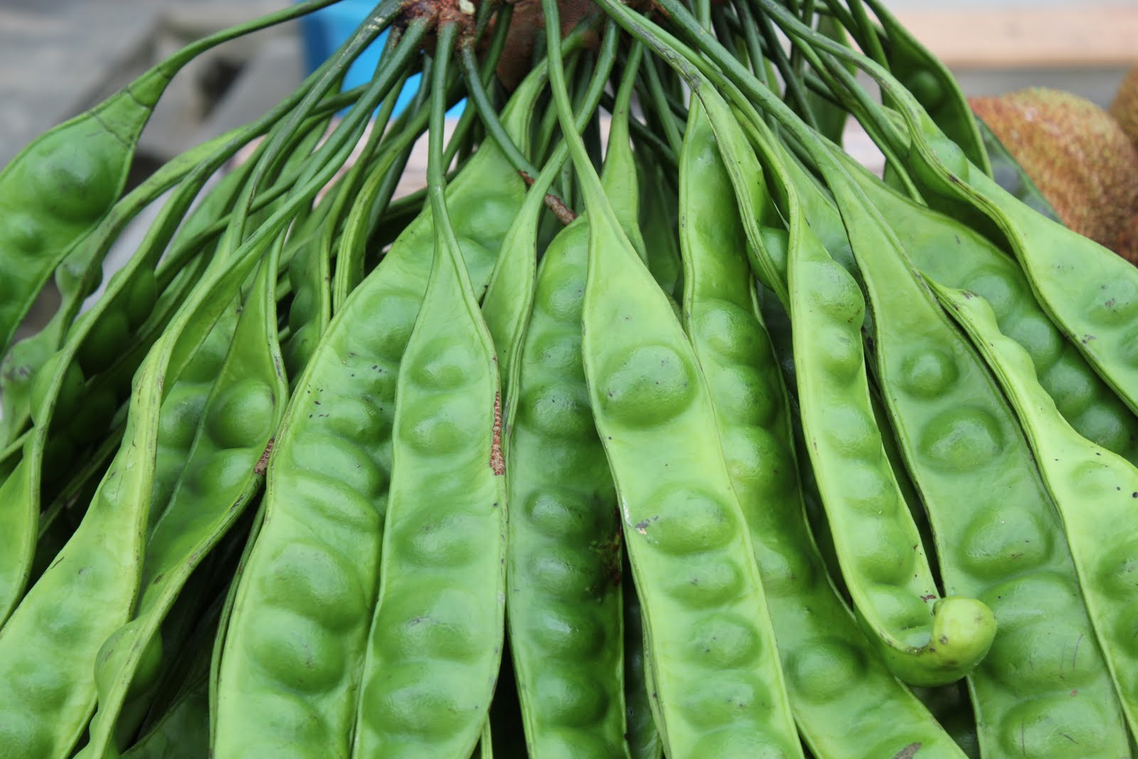 Life on The Farm: A 'Papan' A Day