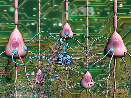 Networks and Servers: The Future of Computers - Overview