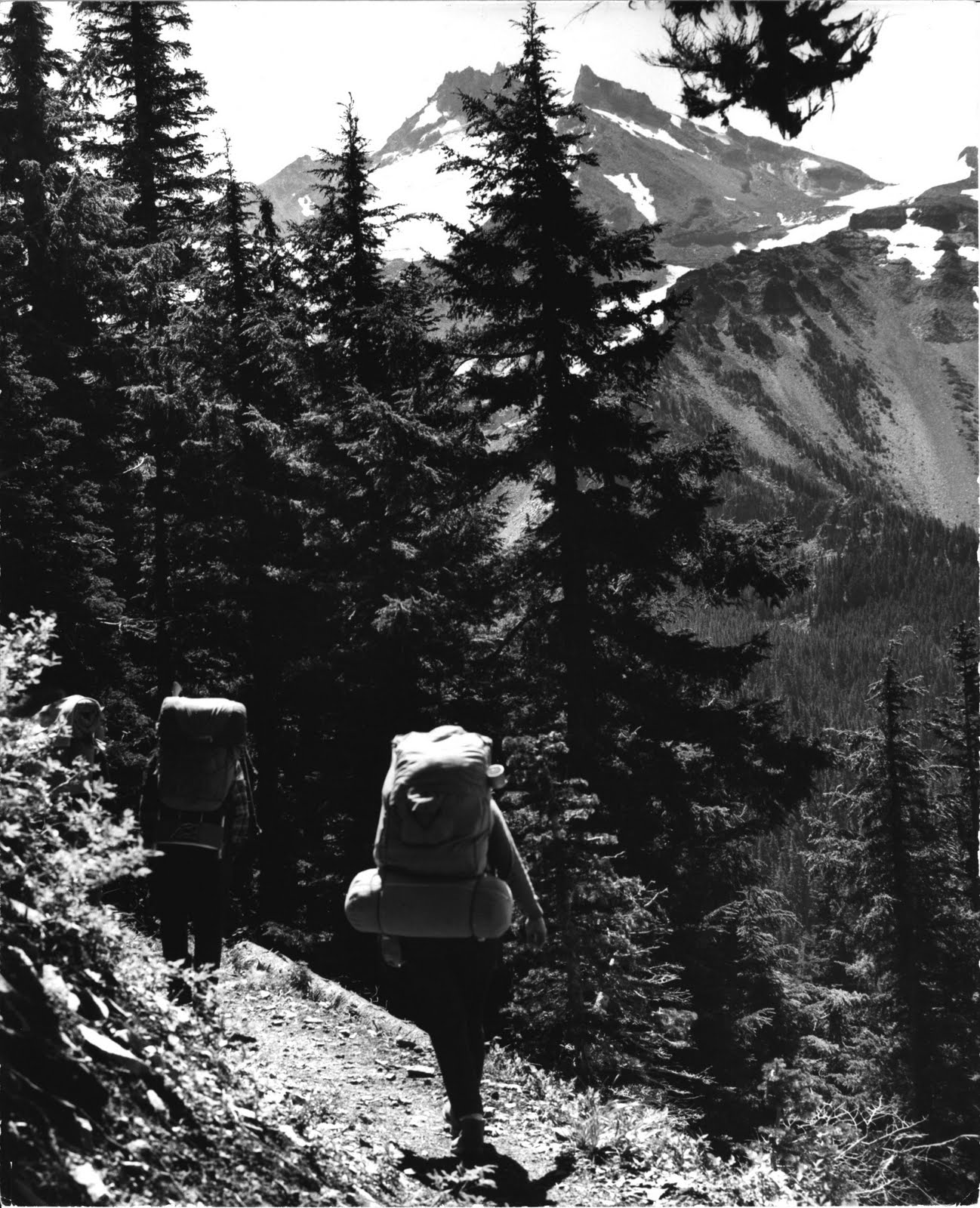 10engines: forest service/usda historic photos