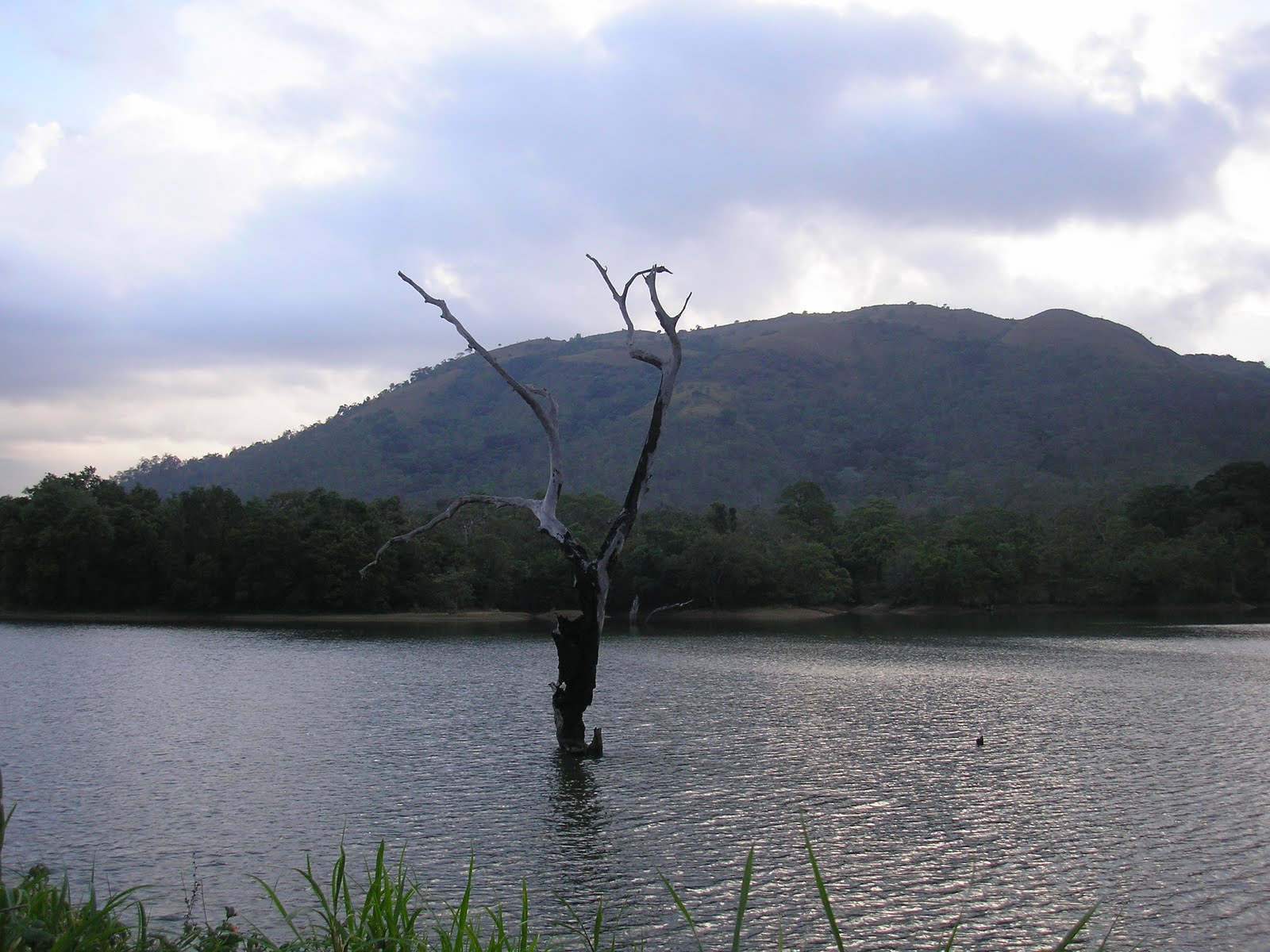 harithacharika - Travelling Nature in Sri Lanka: Thanjanathenna ...