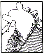 Amanda's Issues of Diversity in Children and Adolescent Lit Page: soap ...