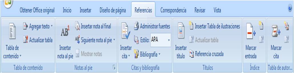 Menú Referencias de Word