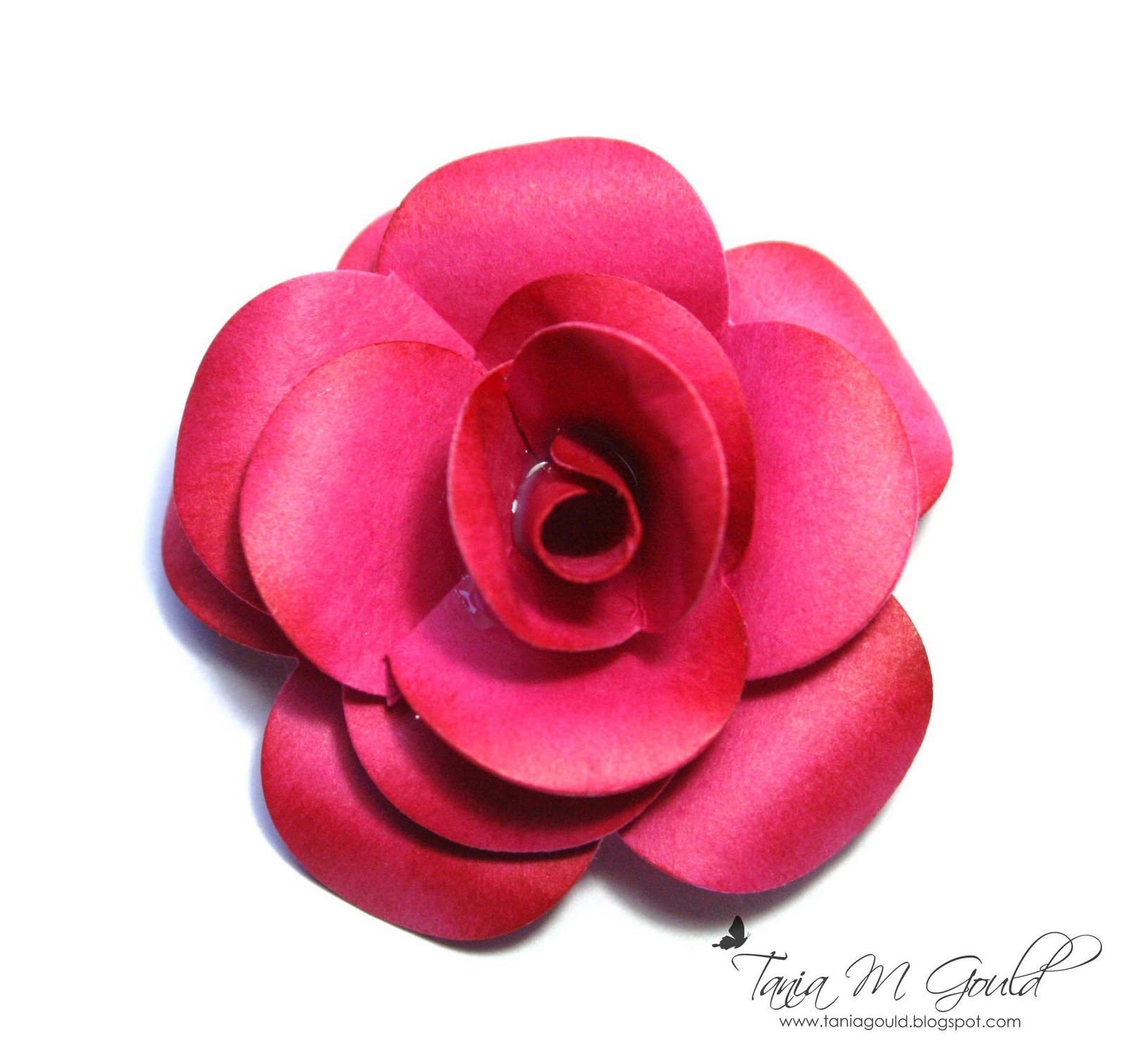 Tania M. Gould: Paper Rose Tutorial