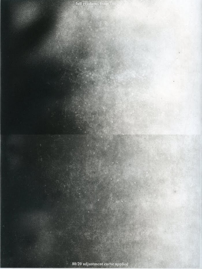 ART and WATER: Grayscale Gradient Test for photo polymergravure