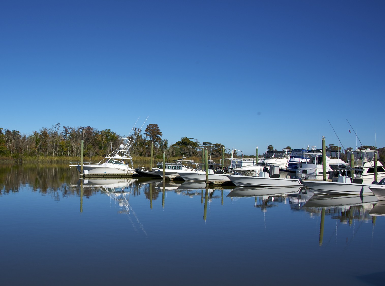The Flight Continues...: The Altamaha River