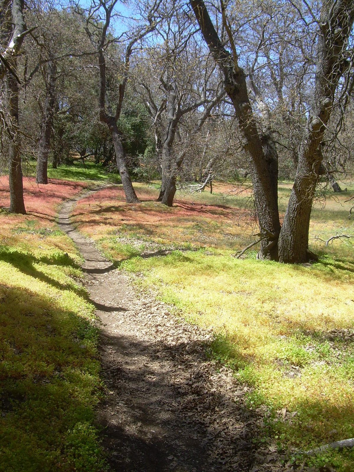 Another Long Walk: Carrying a Bag of... Rocks? Yes, Rocks.