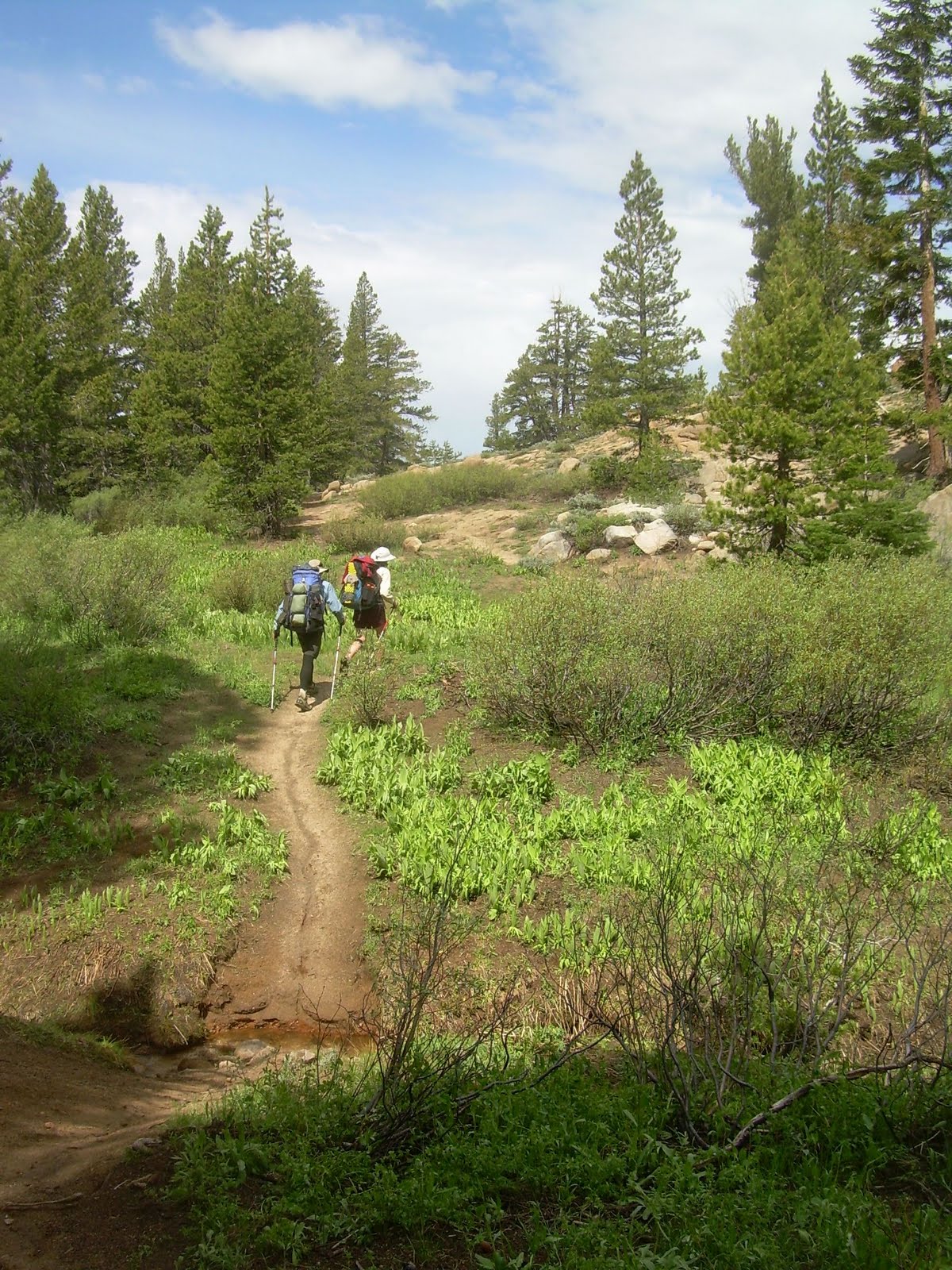 Another Long Walk: Another Boring Day of Hiking