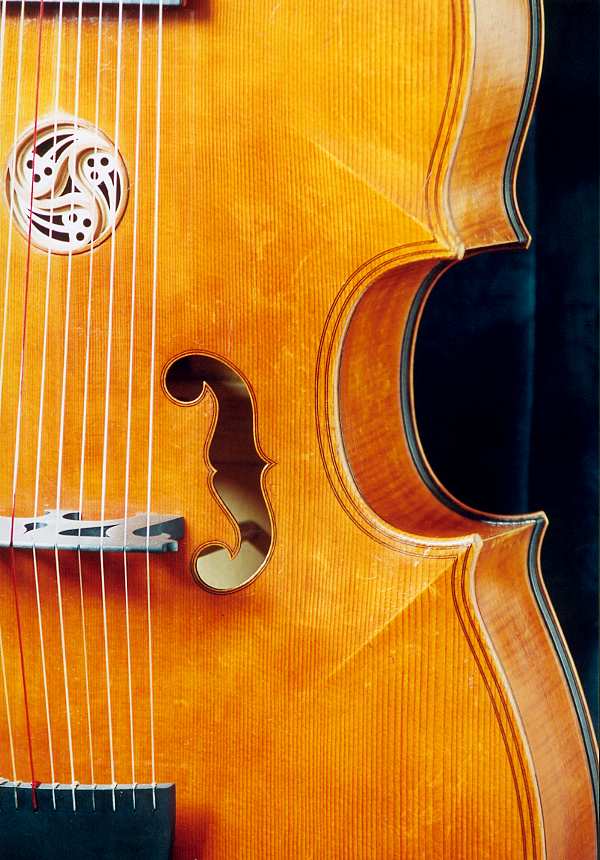 Lira da gamba - Lirone