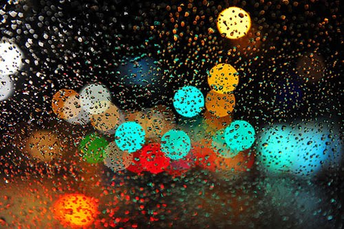 10 Great Samples of Bokeh Photo