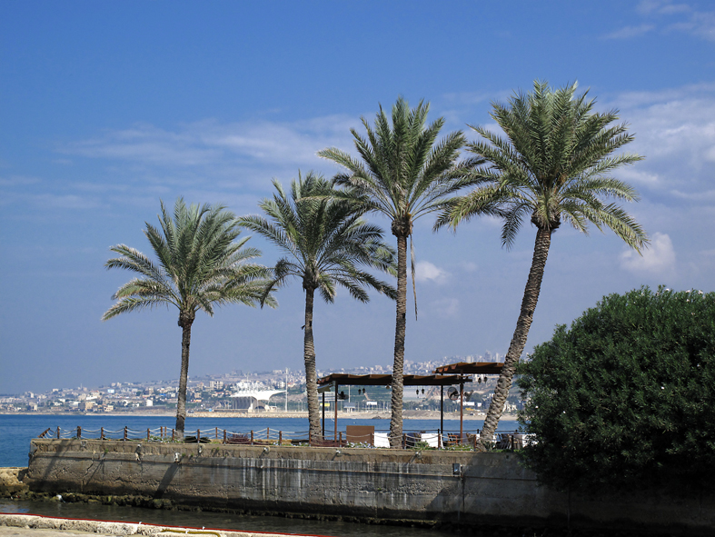 Reda Salem: Sidon Lebanon صيدا - لبنان