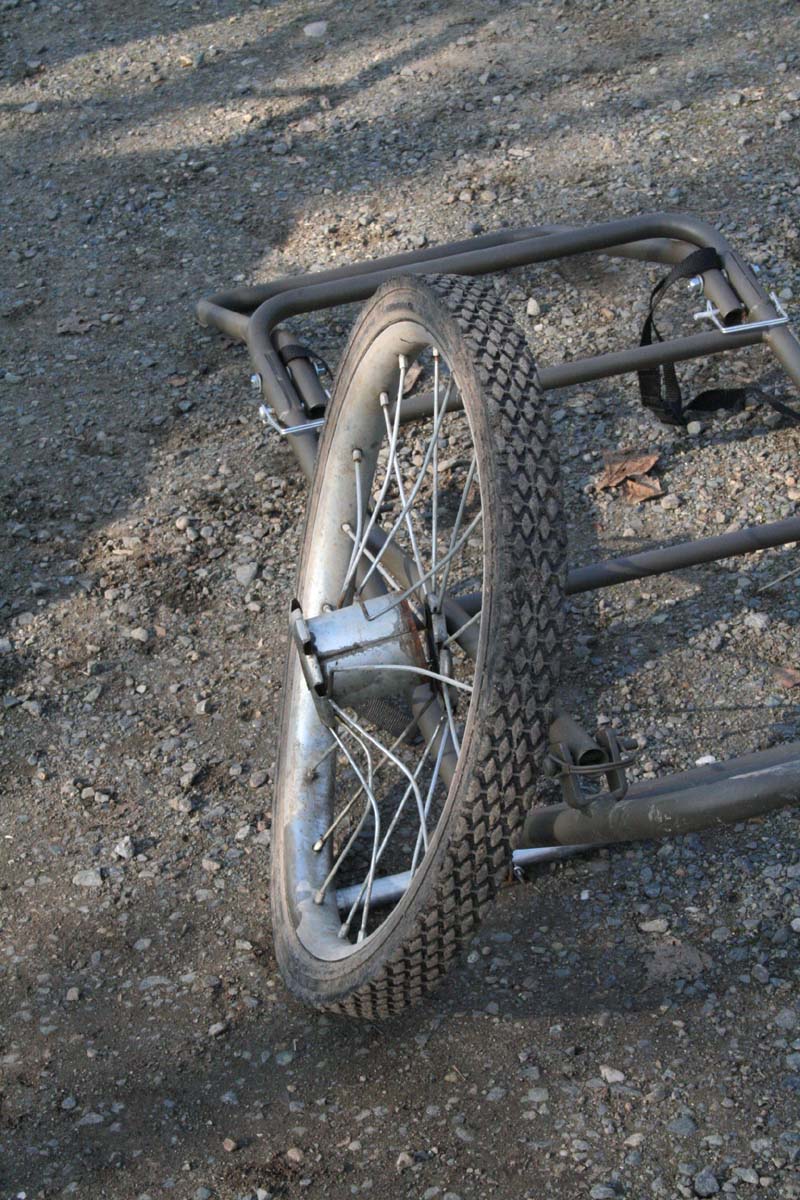 Beyond Dirt - My Creative Journey: Duck Carts.....