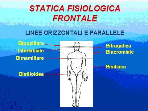 Schiena OK: La prevenzione dei paradismorfismi vertebrali nell'età ...
