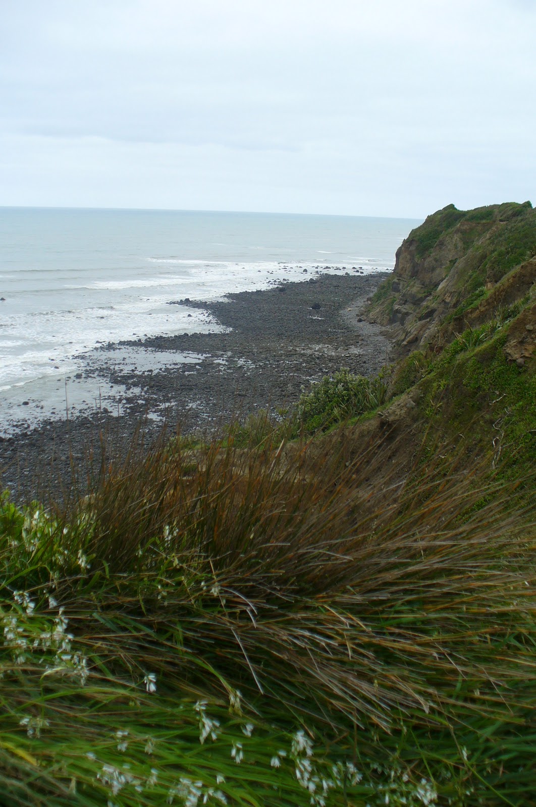 NewZeaLinz: Hangi and Lake Rotorangi