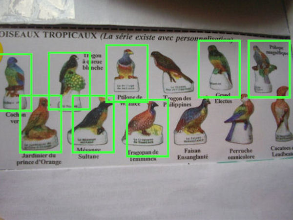 MILLE ET UNE FEVES: LES OISEAUX TROPICAUX 2002