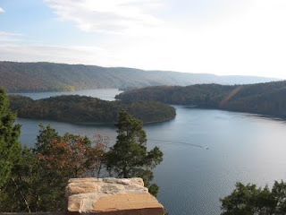 cryptozoo-oscity: New sighting of Raystown lake monster?