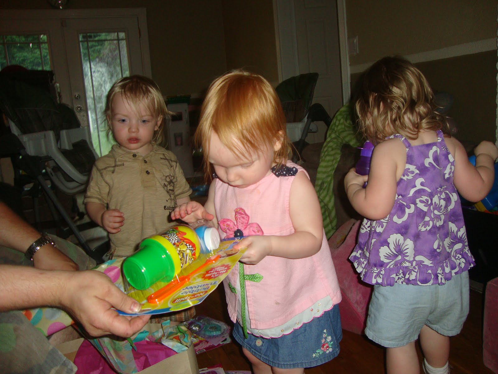 Pleasant Dreams Farm: Birthday Party Whoop Whoop!