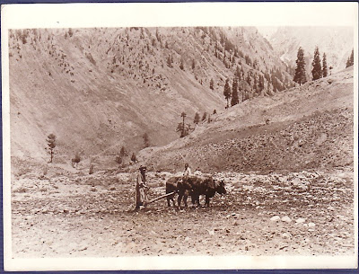 Roosevelt Expedition - India 1920s - Old Indian Photos