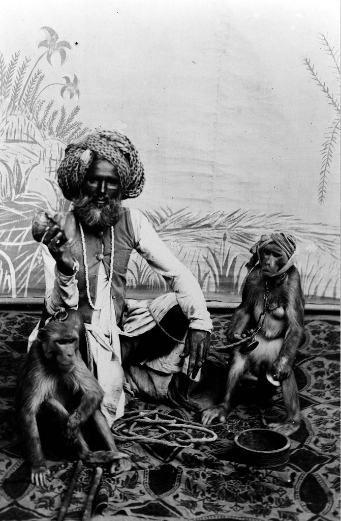 Indian Fakir with Monkeys - Late 19th to Early 20th Century Photograph ...