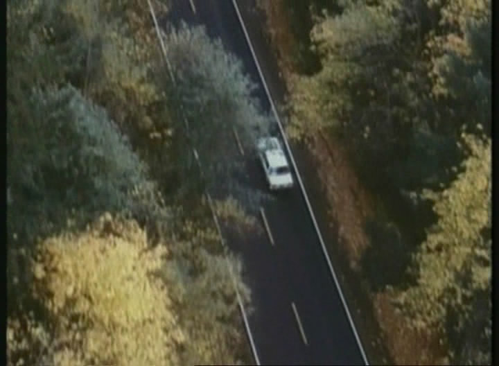 FANTASMATADERO - CINE FANTÁSTICO: DEMENCIAL (Don Gronquist, 1982)