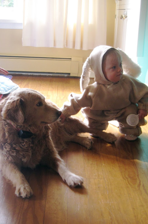 Many Heartbeats: Leo Francis Mackey