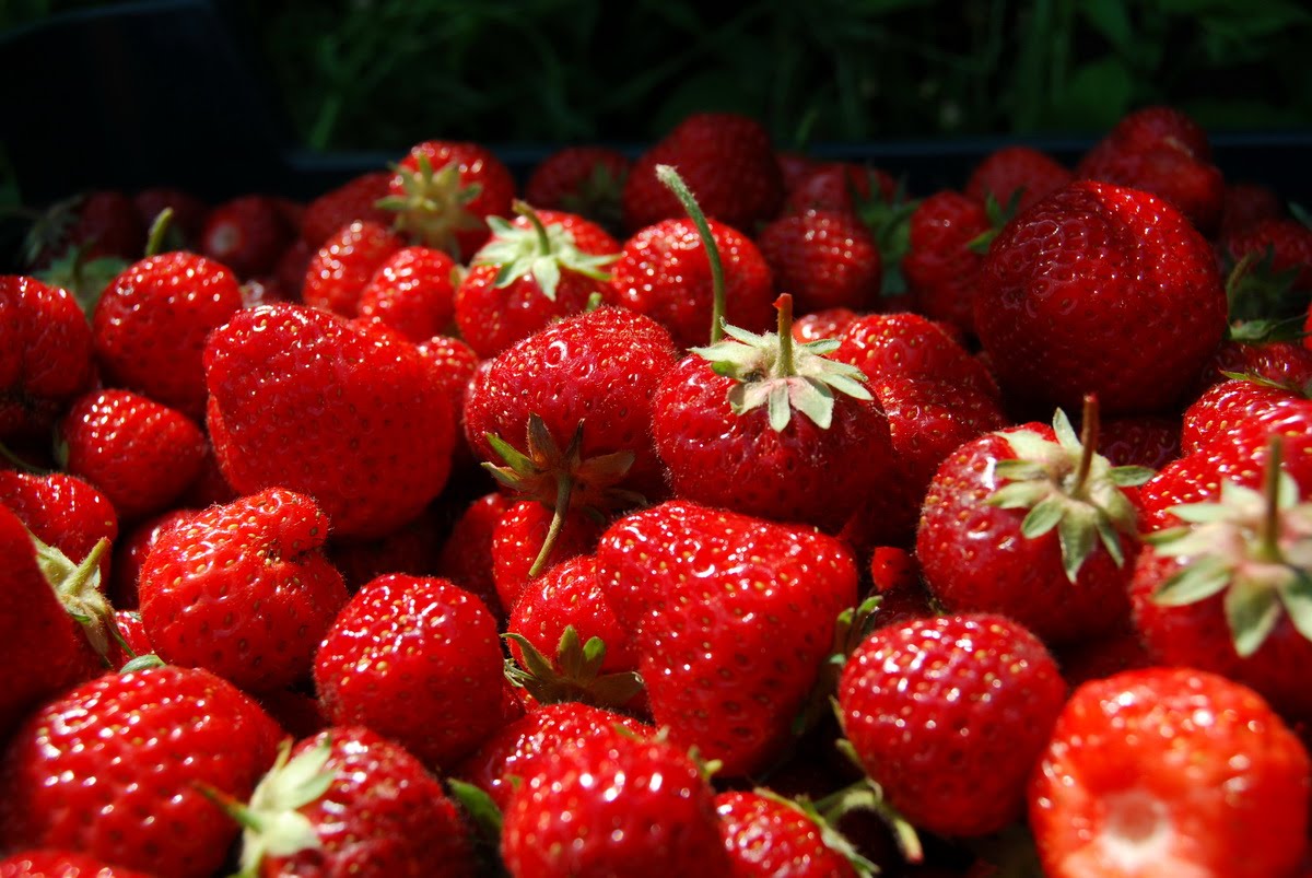 PHOTOGRAPHY: CAPSUNI