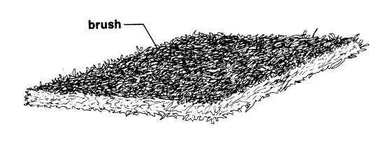 composting what? why? how?: The Indore Method "reloaded"