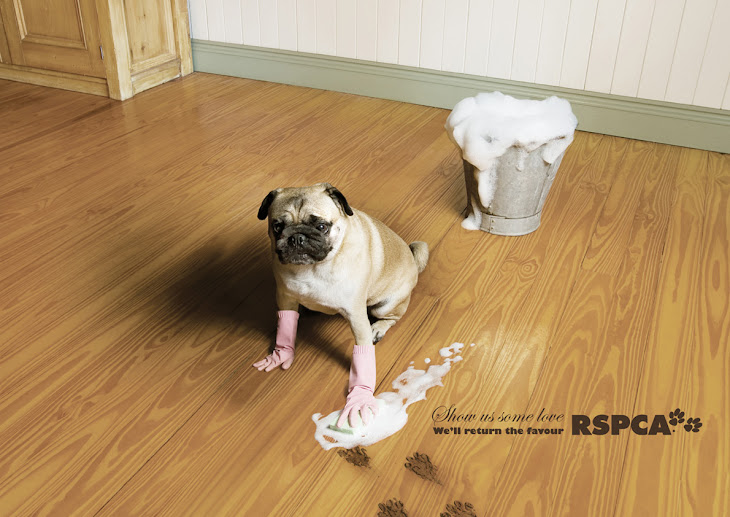 RSPCA | All Social Ads | The Nation's Health