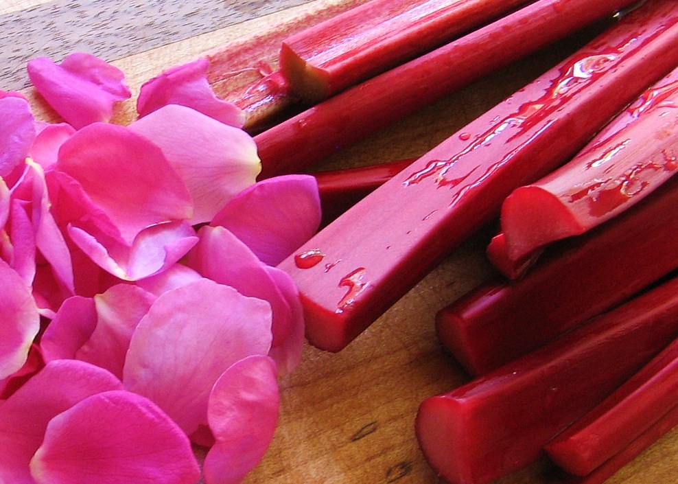 Arctic Garden Studio: Rose Petals