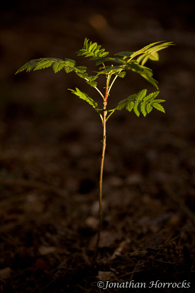 V.Watts Photography: Landscape Photographer - Jonathan Horrocks