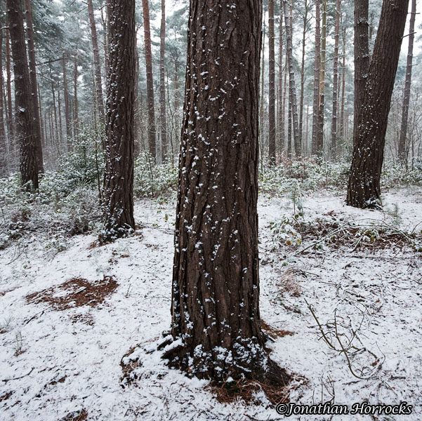 V.Watts Photography: Landscape Photographer - Jonathan Horrocks