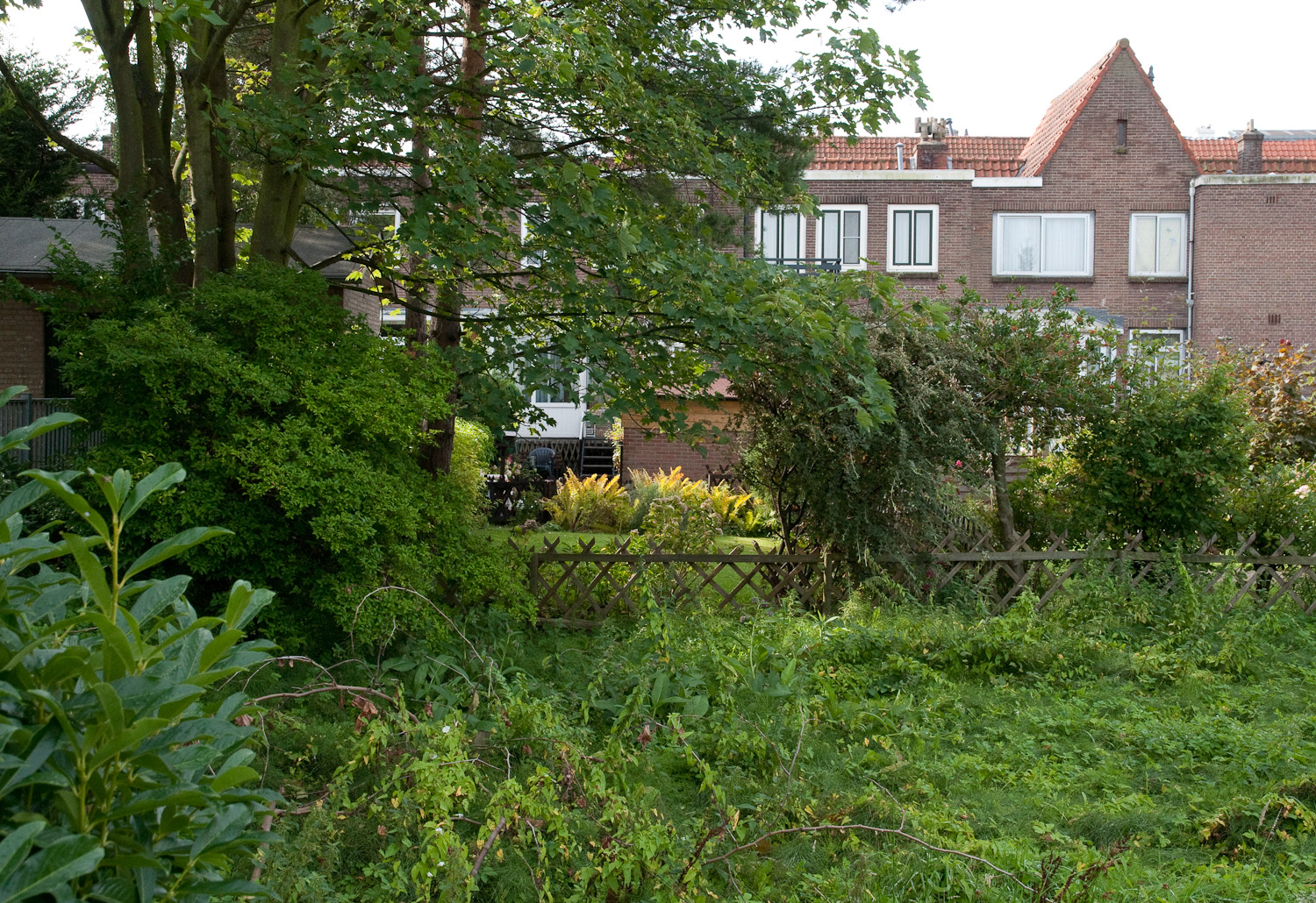 Prinses op de erwt: Ons verhaal